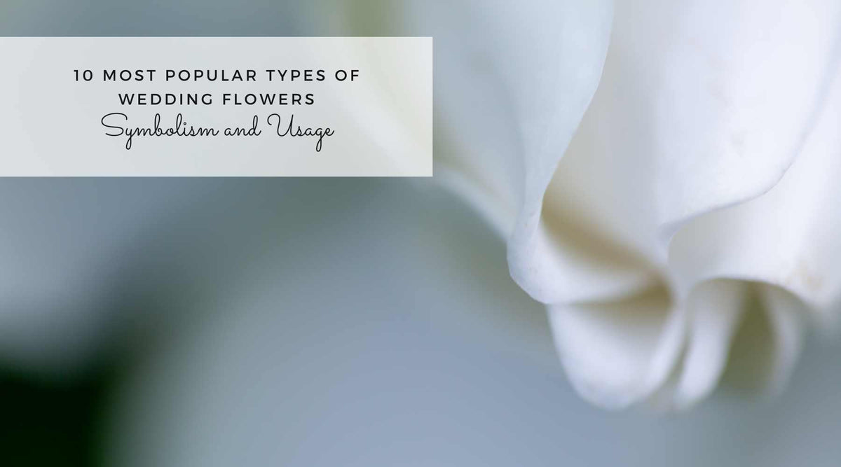 10 Most Popular Types of Wedding Flowers: Symbolism and Usage – MadFlowers